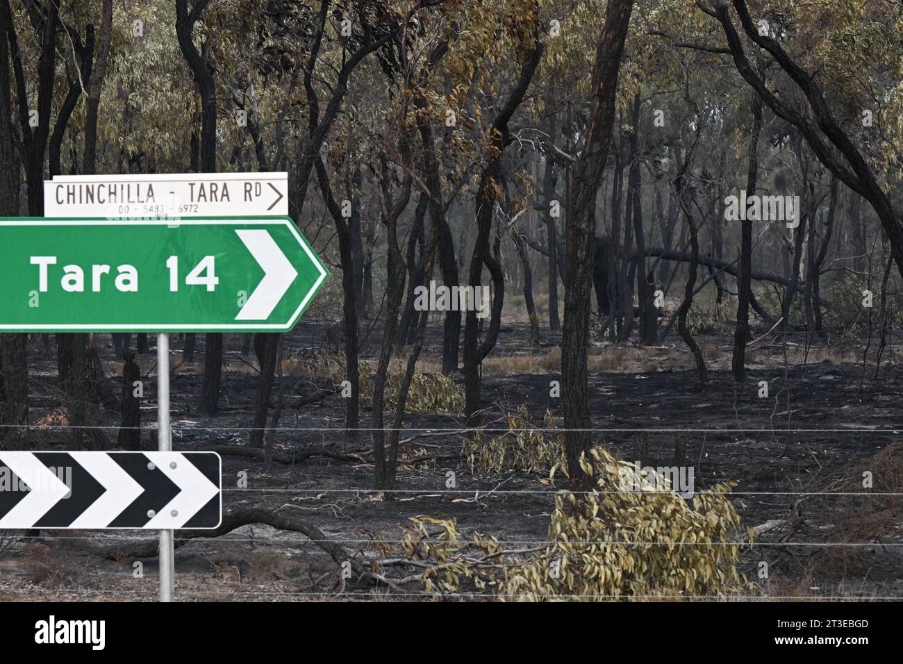 Brisbane, Australia. 25th Oct, 2023. Bushland is seen damaged by fire ...