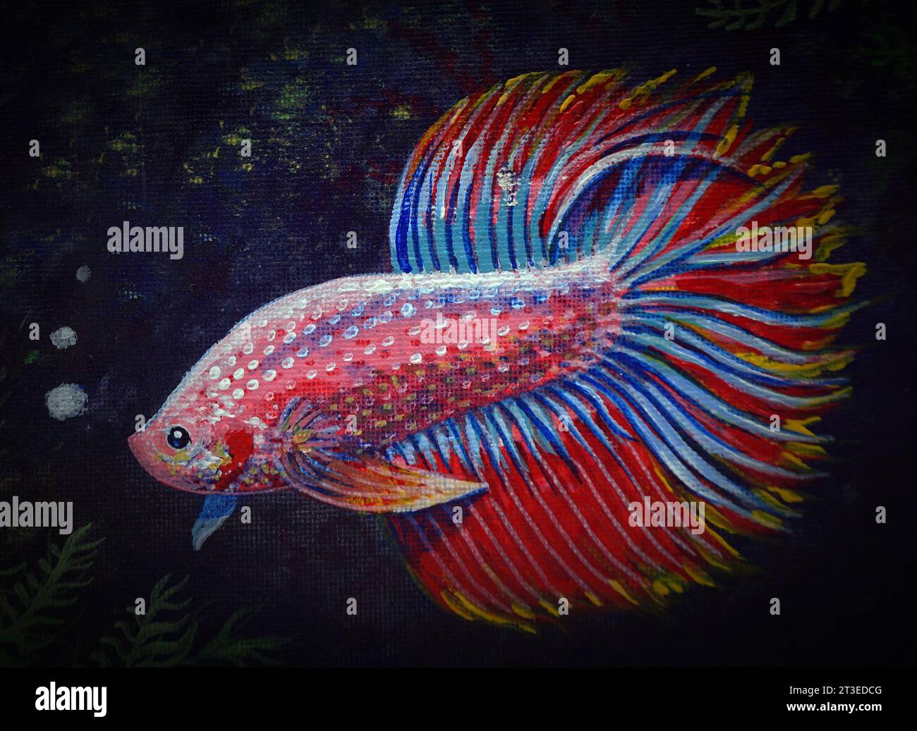 Original oil painting expressionism Betta fish , Siamese fighting fish ...