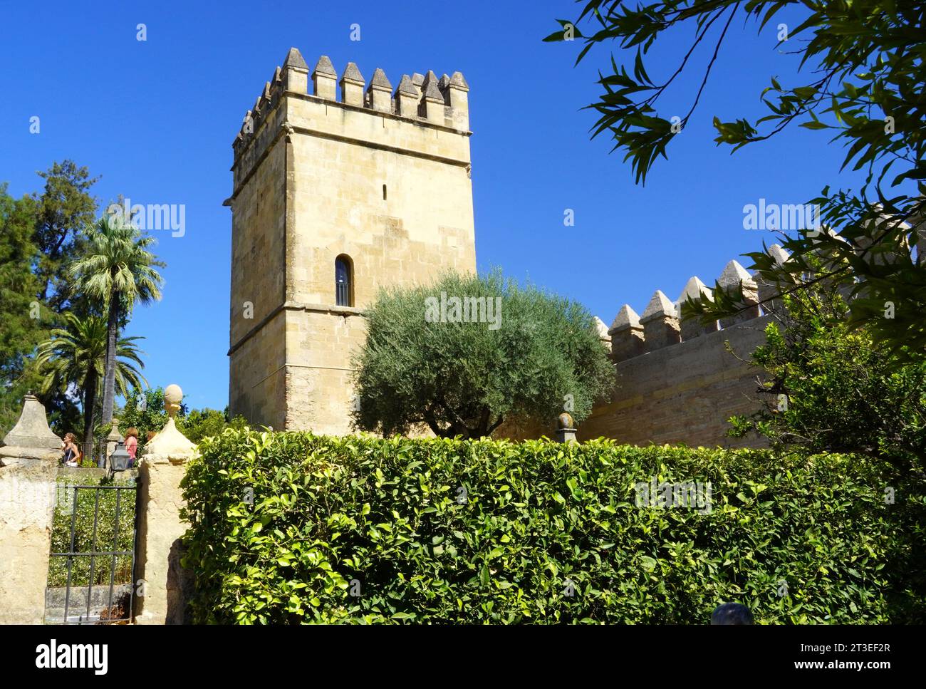 Spain, Andalusia, Cordoba: the lush gardens of the Moorish Palace of the Alcazar de los Reyes ...