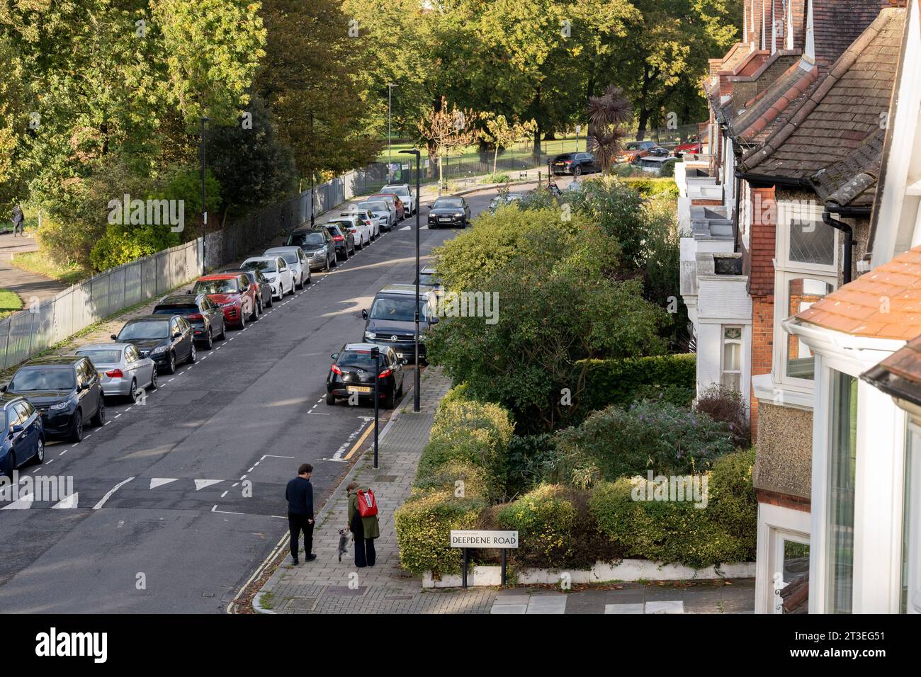 An aerial view of pedestrians with their dog on a residential street in ...