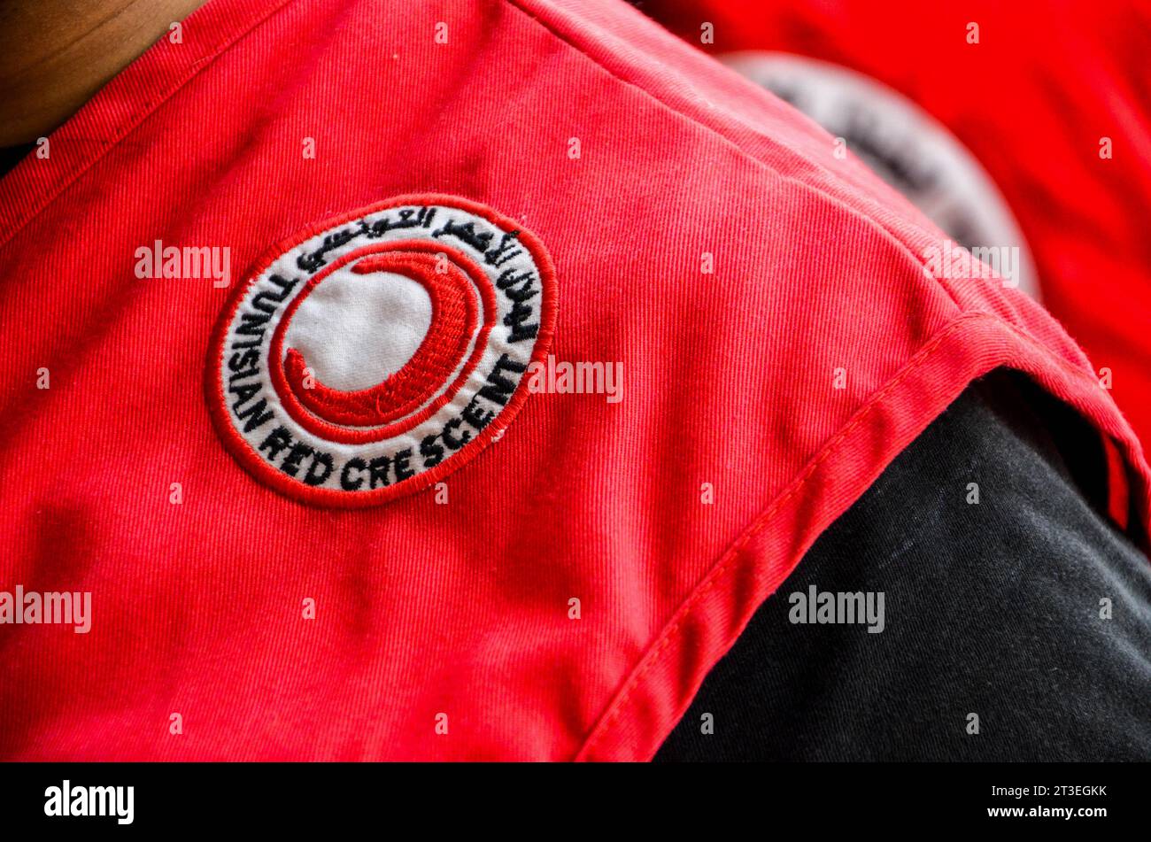 Hamas logo hi-res stock photography and images - Alamy