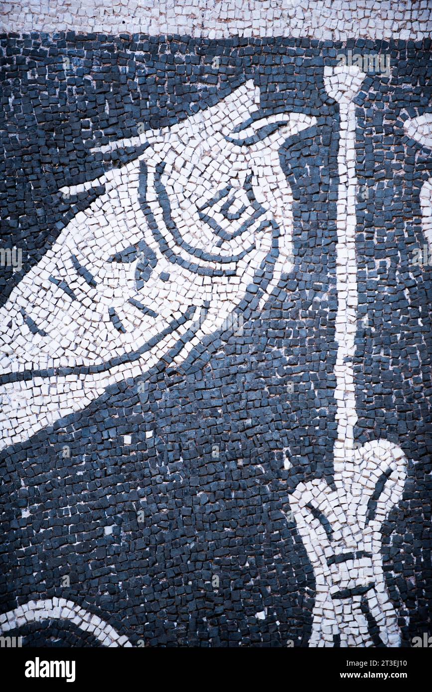 Caracalla Bath, Rome, Italy, antic roman floor tiled mosaic, black and ...