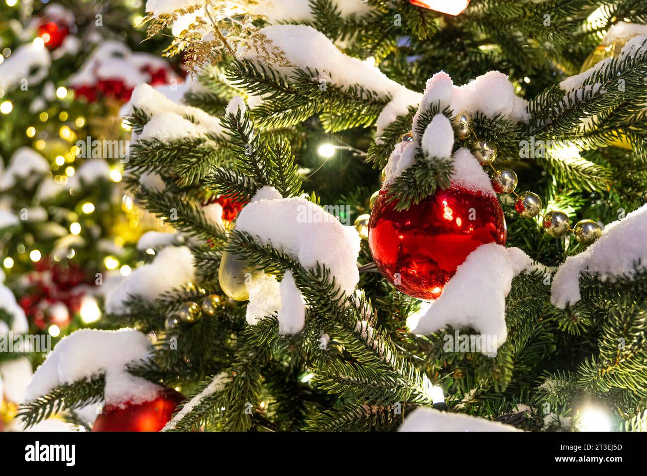 Christmas tree toy, white ball on blurred background of branches of ...