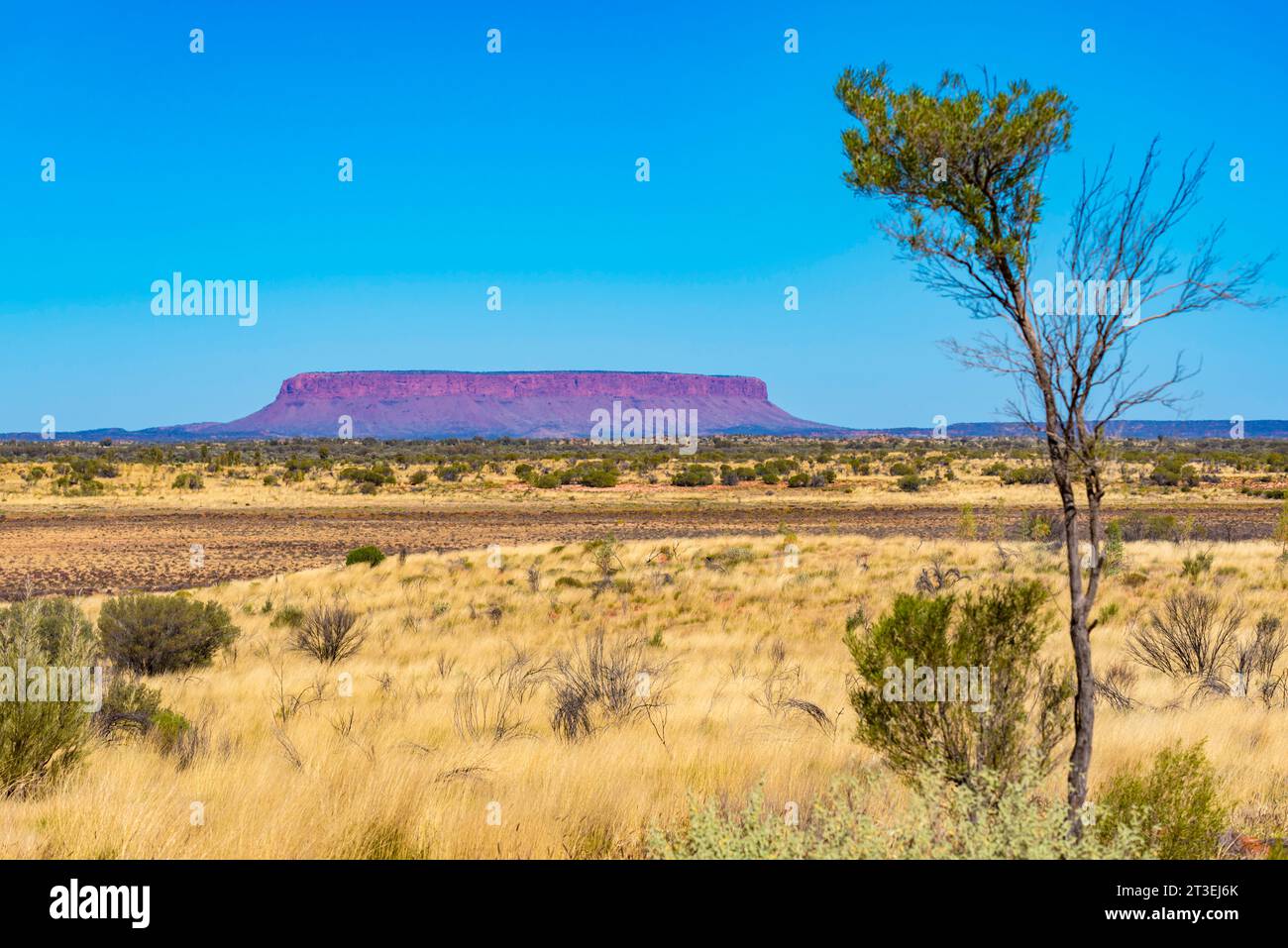 Mount Conner (Artilla) near Lake Amadeus rises 300 metres (984 ft ...