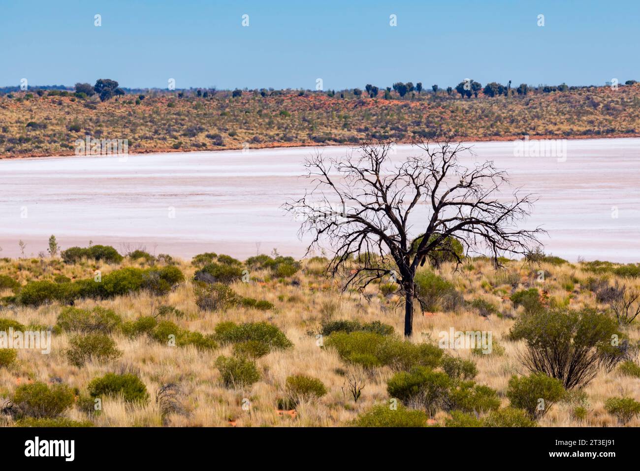 A salt pan or salt lake near the Mt Conner lookout, part of the greater ...