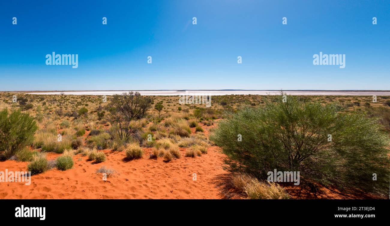 A salt pan or salt lake near the Mt Conner lookout, part of the greater ...