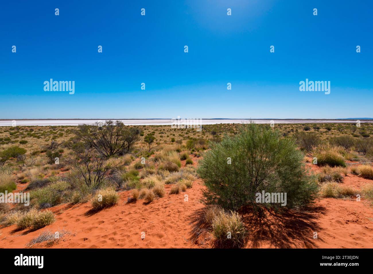 Salt pan near mount mt conner hi-res stock photography and images - Alamy