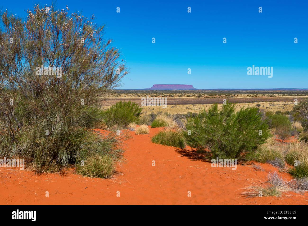 Mount Conner (Artilla) near Lake Amadeus rises 300 metres (984 ft ...