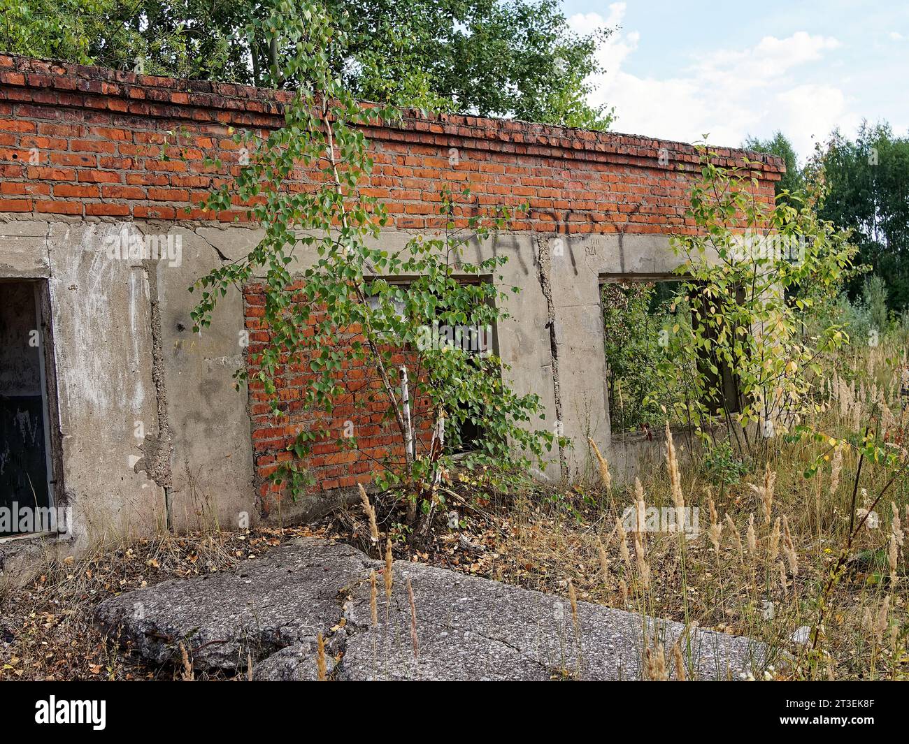 Abandoned one-storey brick building, Russia Stock Photo - Alamy