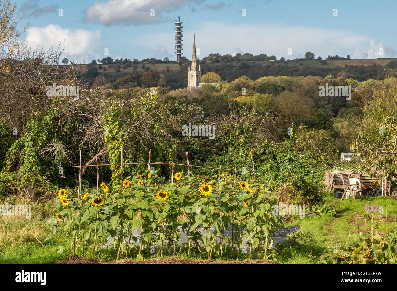 The Victorian spire of Holy Trinity church and the Purdown BT Tower ...
