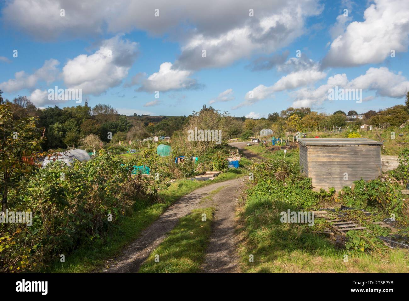 Thingwall hi-res stock photography and images - Alamy