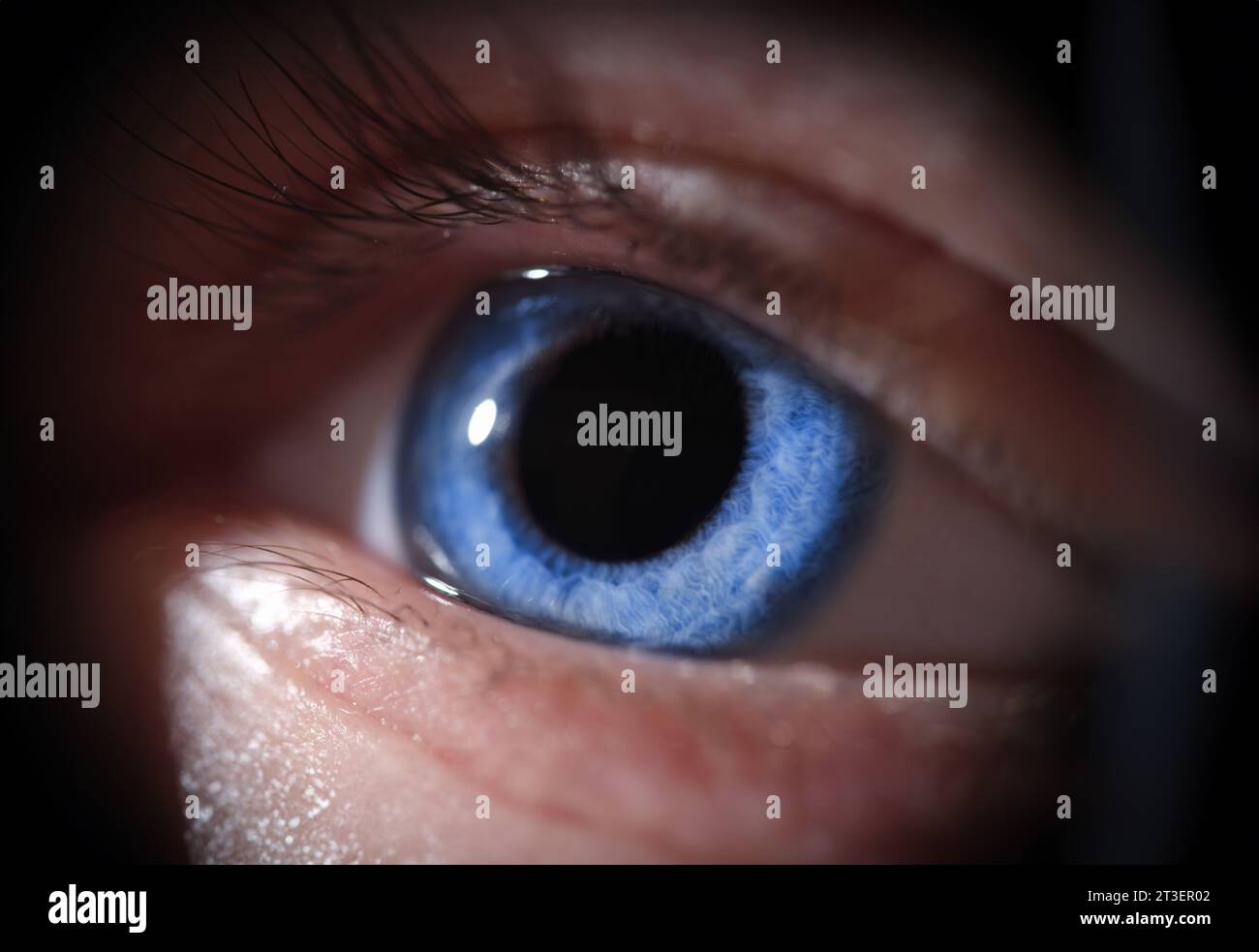 Pupil reaction to light hi-res stock photography and images - Alamy
