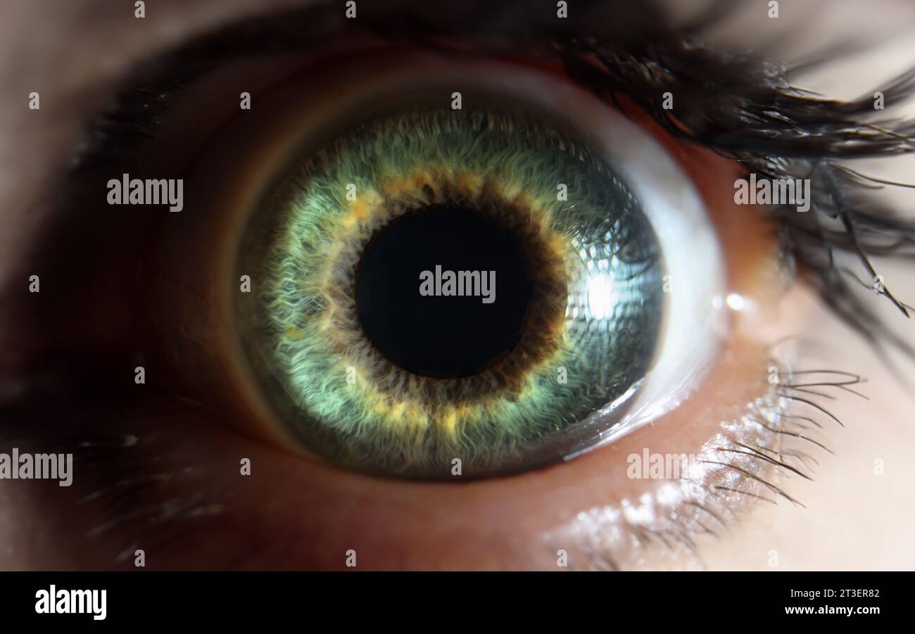 Human eye super macro photography hi-res stock photography and images ...