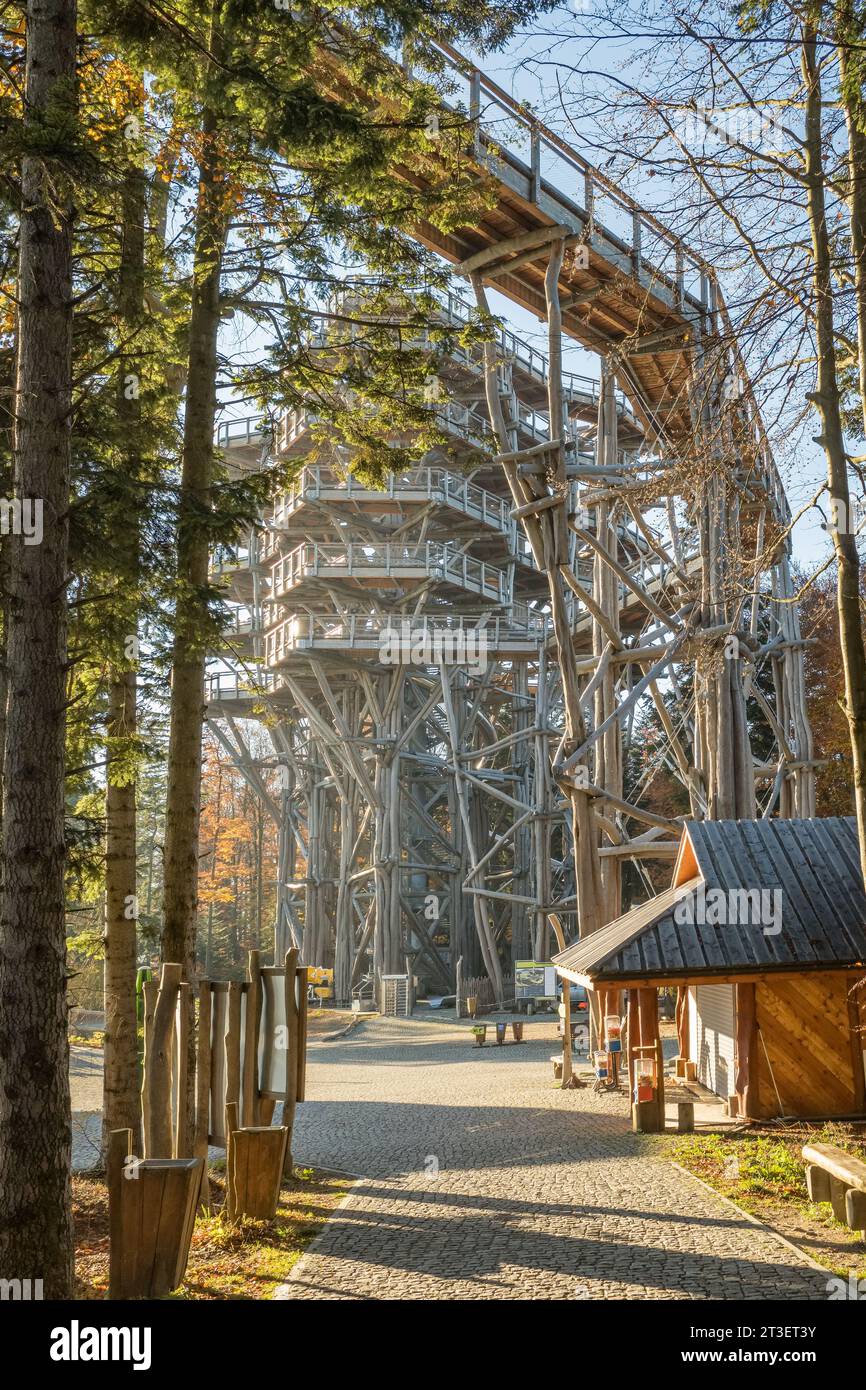 Wooden path treetop observation hi-res stock photography and images - Alamy