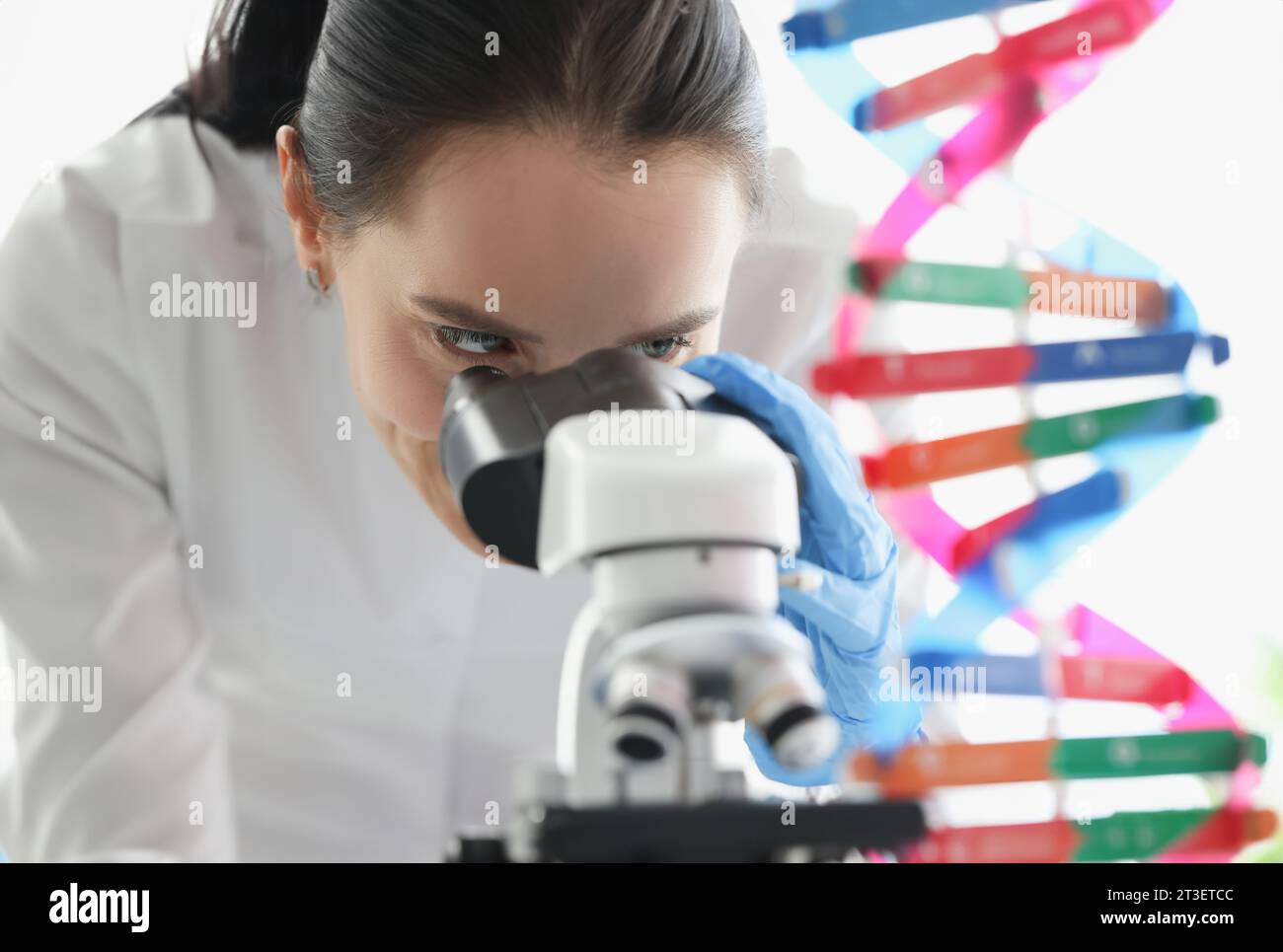 Woman scientist looking through microscope near dna molecule mockup in ...