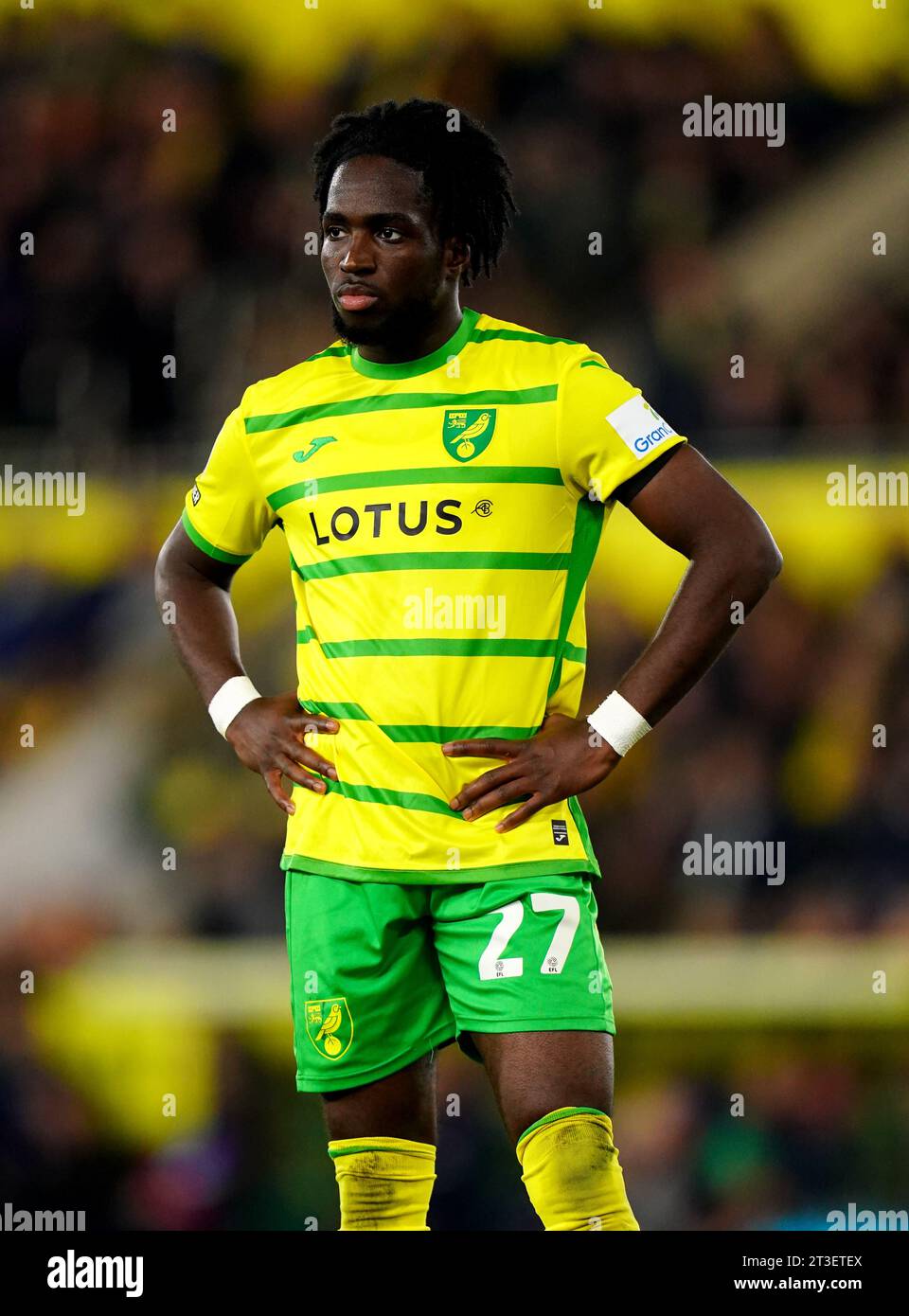 Jonathan rowe norwich october 2023 hi-res stock photography and images ...