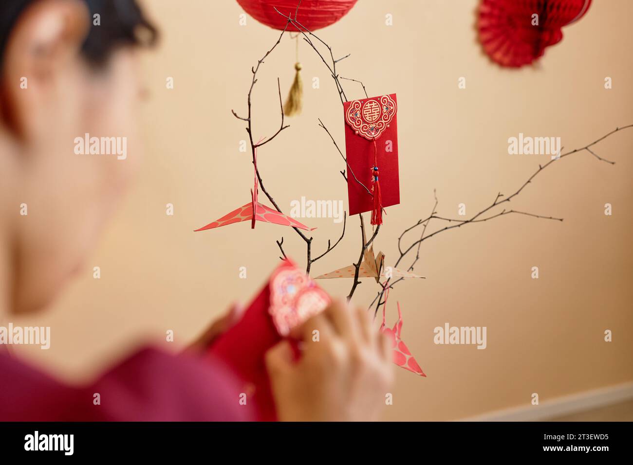 Close up of Asian woman decorating tree with paper lanterns and red ...