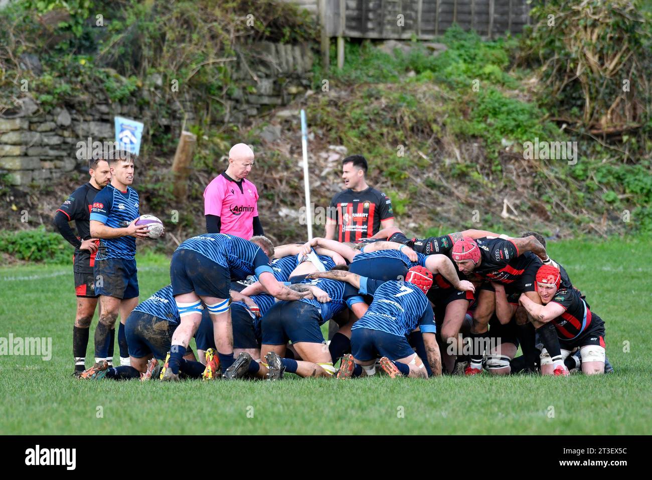 Trebanos, Wales. 21 October 2023. A scrum during the WRU Admiral ...