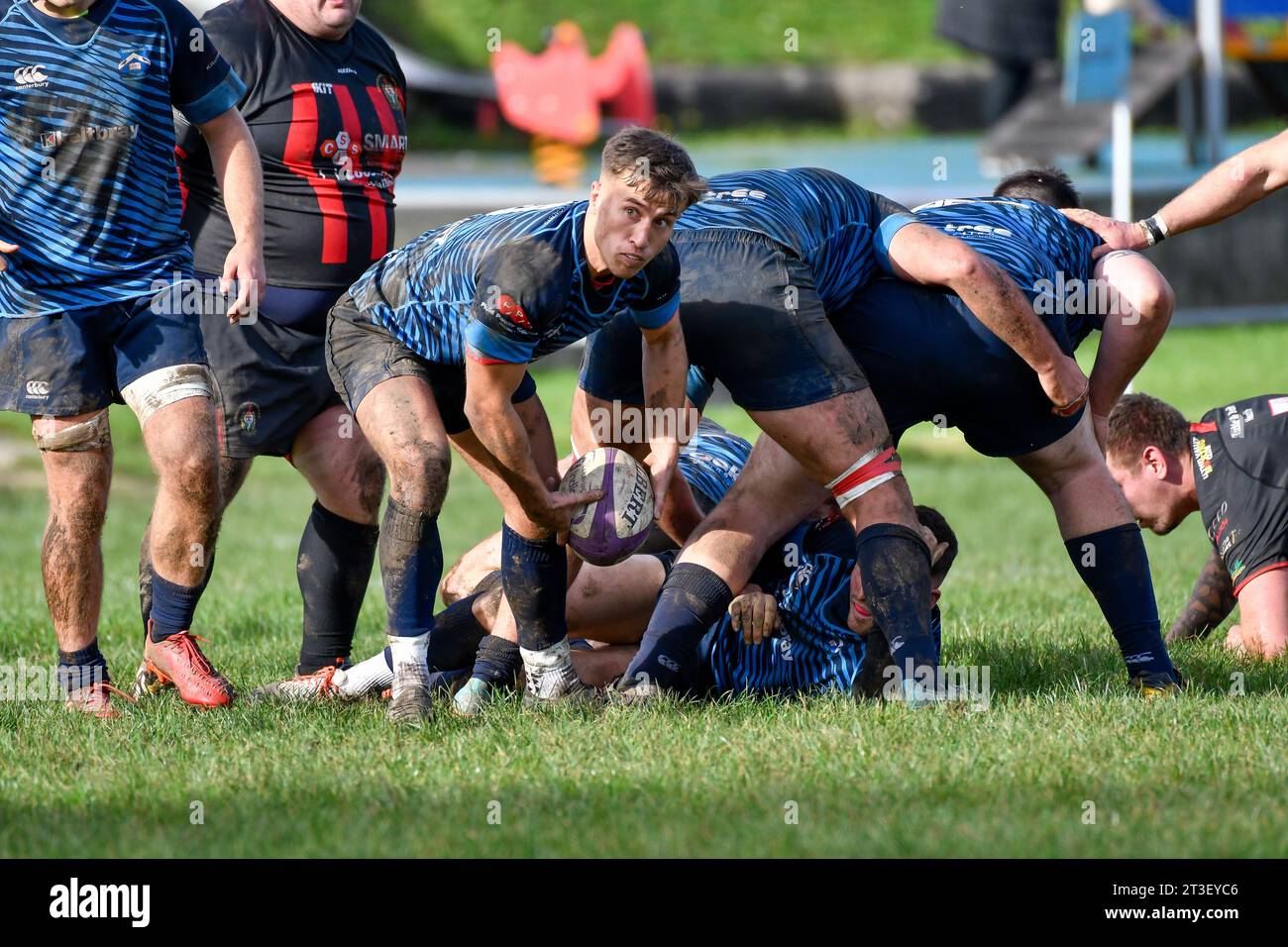 Robert jones rugby hi-res stock photography and images - Alamy