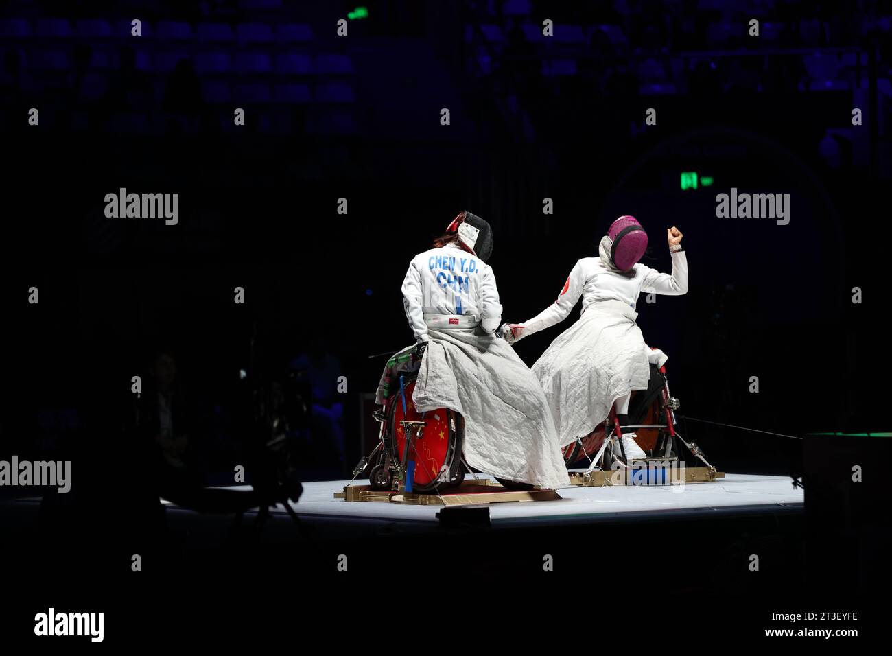 Hangzhou, China's Zhejiang Province. 25th Oct, 2023. China's Gu Haiyan ...