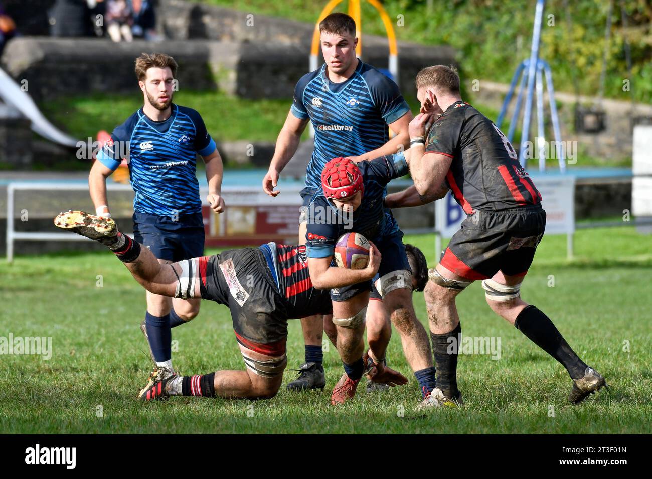 Admiral national championship west hi-res stock photography and images ...