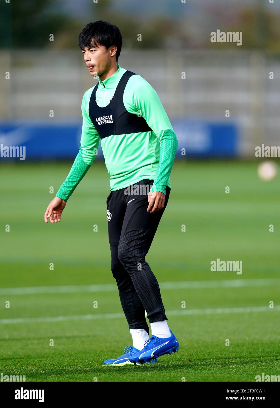 Brighton and Hove Albion's Kaoru Mitoma during a training session at ...
