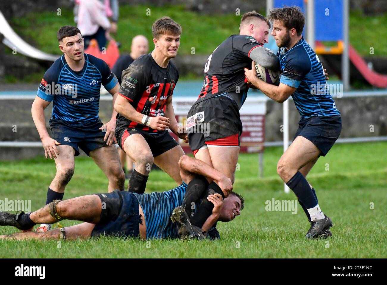 Admiral national championship west hi-res stock photography and images ...