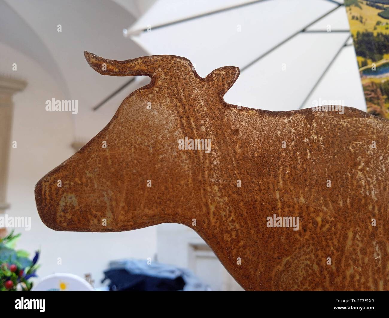 Symbol Of Cow And Cattle, Dairy Farming And Livestock Breeding Symbol ...
