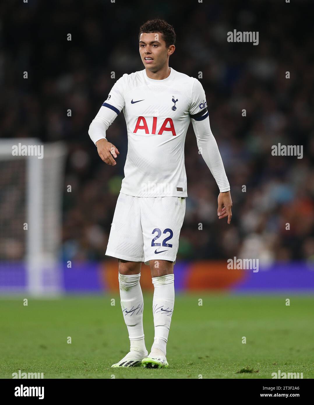 Brennan Johnson of Tottenham Hotspur. - Tottenham Hotspur v Fulham ...