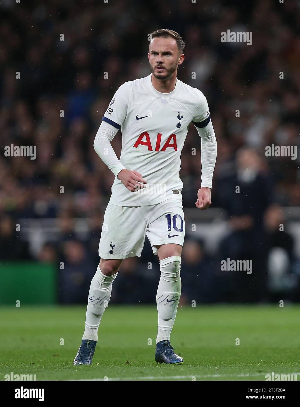 James maddison tottenham october 2023 hi-res stock photography and ...