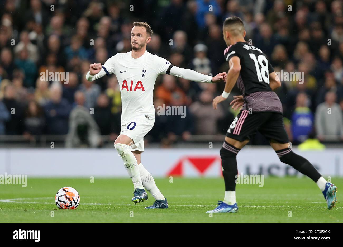 James maddison tottenham october 2023 hi-res stock photography and ...