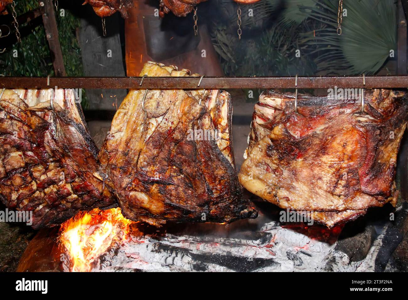 barbecue set up for barbecue in the style of ground fire Stock Photo ...