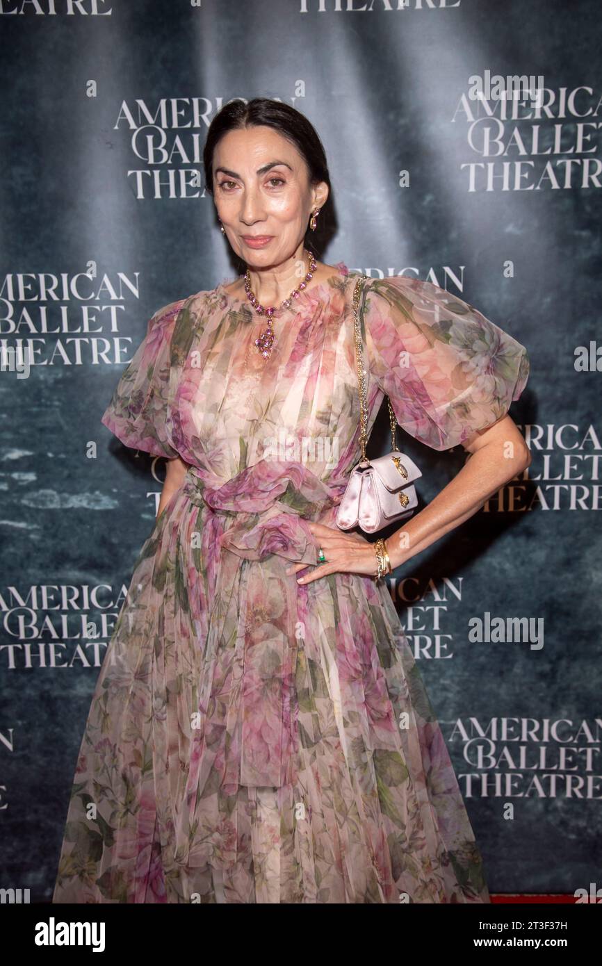 New York, United States. 24th Oct, 2023. Anh Duong attends the American ...