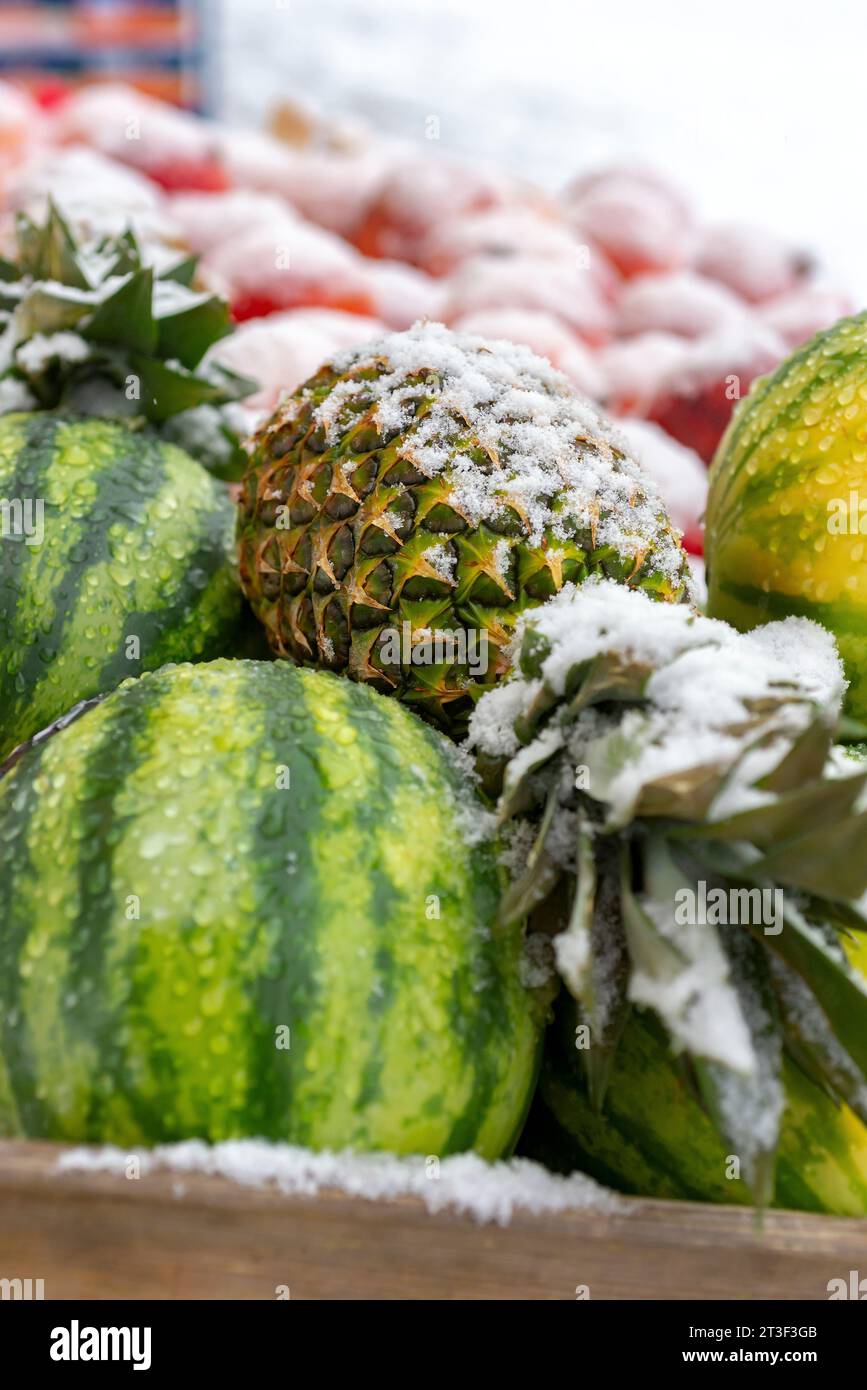 Fruits under the snow in front of store window Stock Photo - Alamy