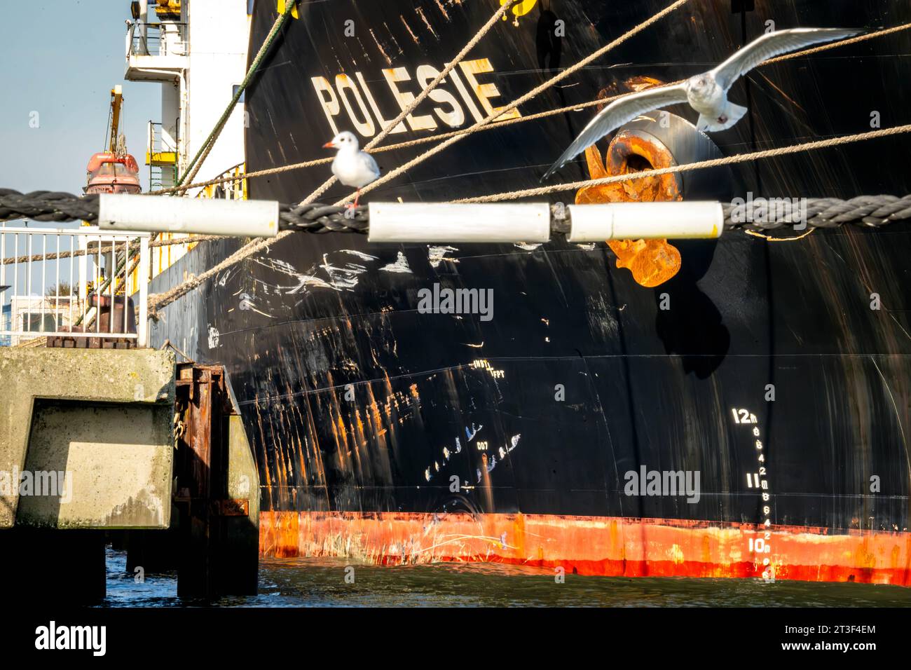 Verity cargo ship hi-res stock photography and images - Alamy