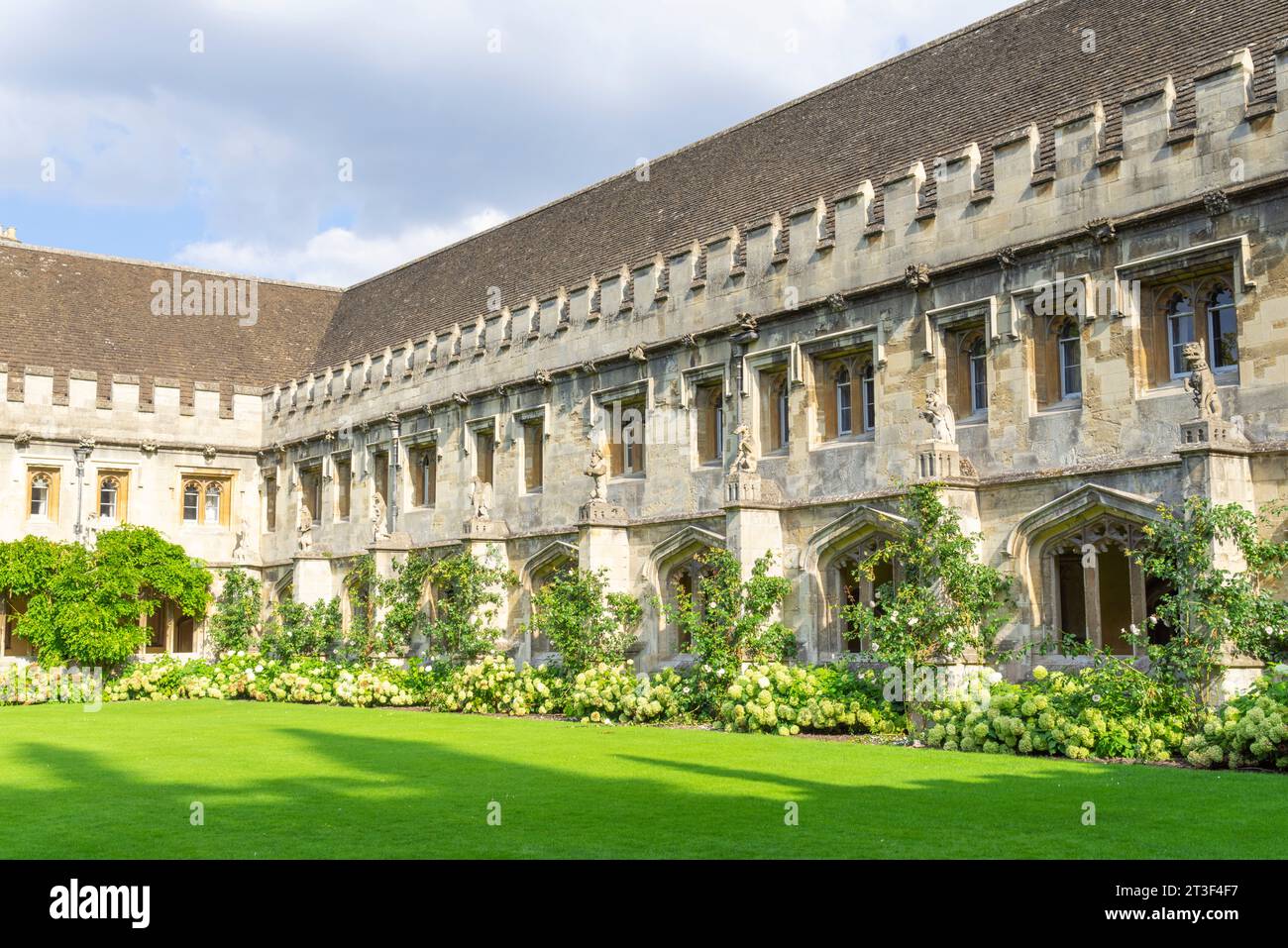 The great cloisters hi-res stock photography and images - Alamy