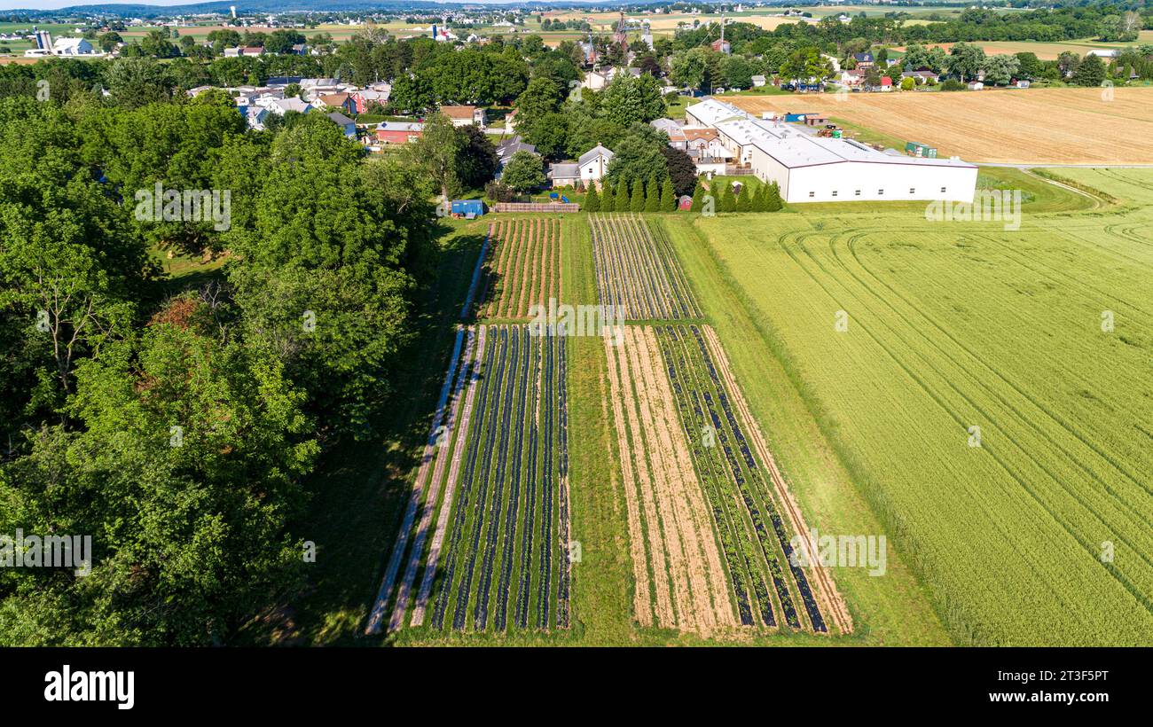 An Aerial View of Plowed and Growing Farmlands, in Rural America, on a ...