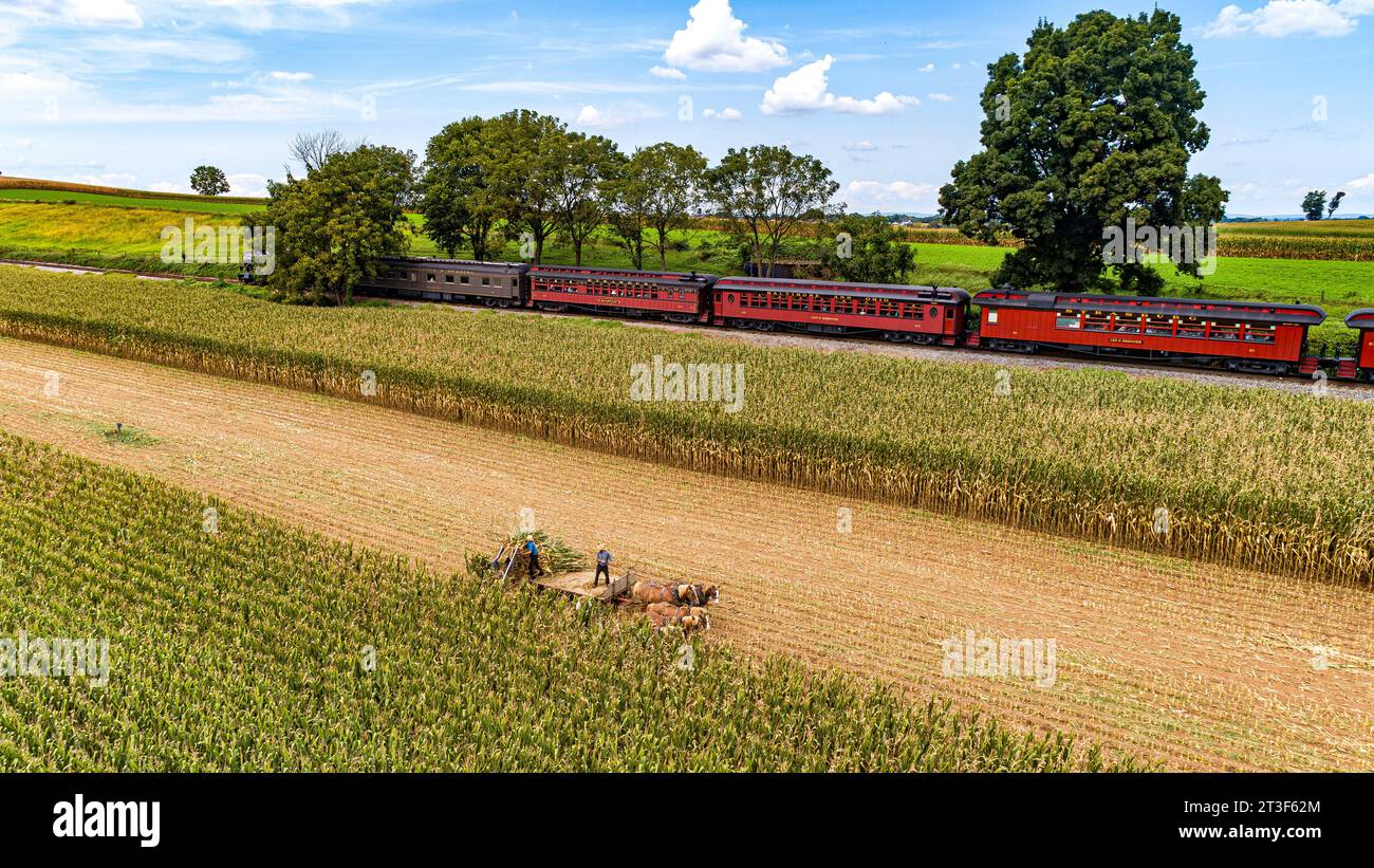 Ronks, Pennsylvania, September 11, 2021 - An Aerial View of Six Horses ...