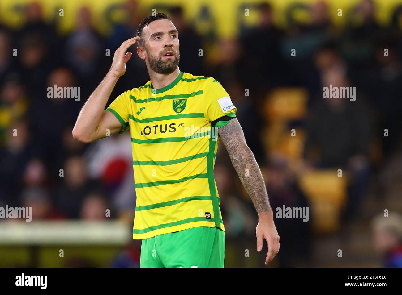 Shane duffy norwich hi-res stock photography and images - Alamy