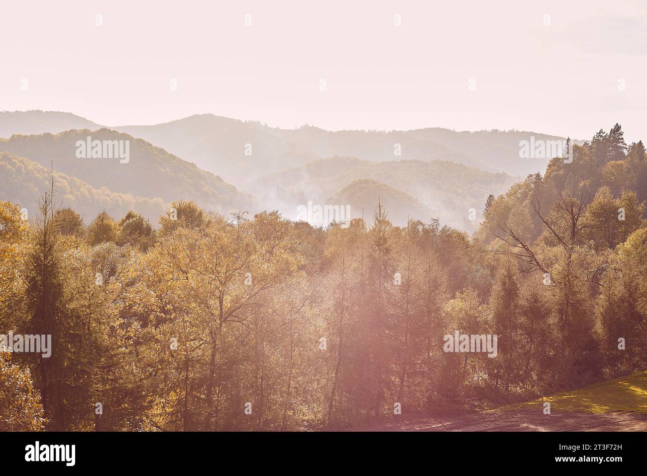 Autumn countryside view, fall foggy atmosphere. Aaesthetic background ...