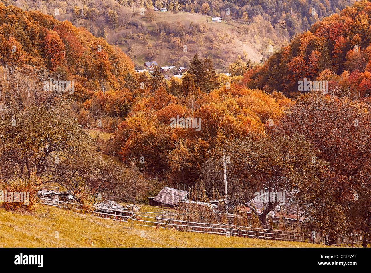Golden atmospheric autumn rustic background, ukrainian Carpathians ...
