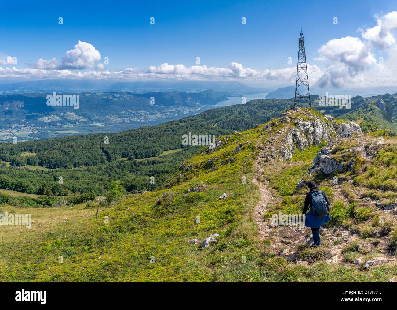 Grand Colombier Pass. View of the Col Du Grand Colombier, the forest ...