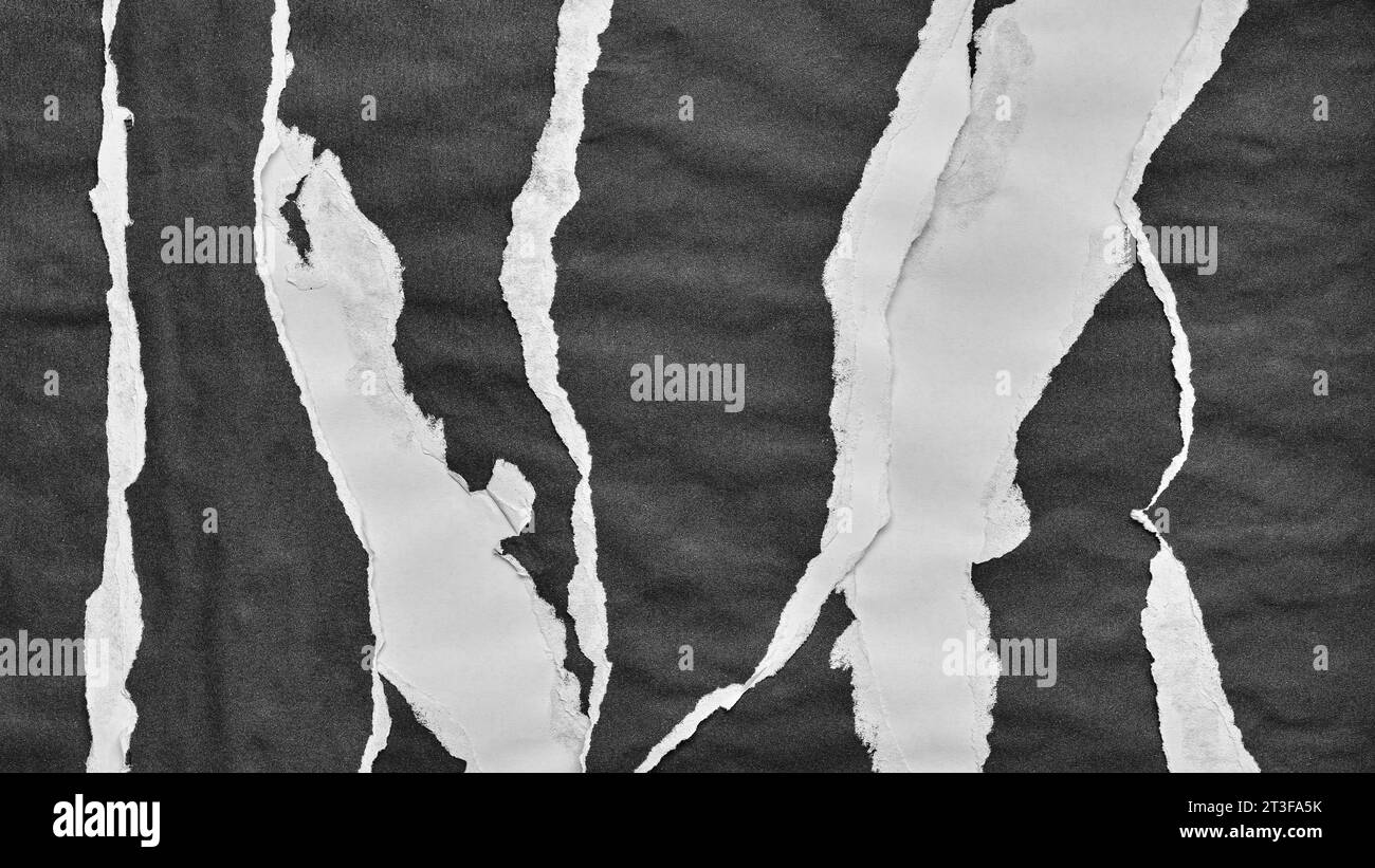 Black and White Torn Paper Collage Style, Ripped Paper Effect, Texture ...
