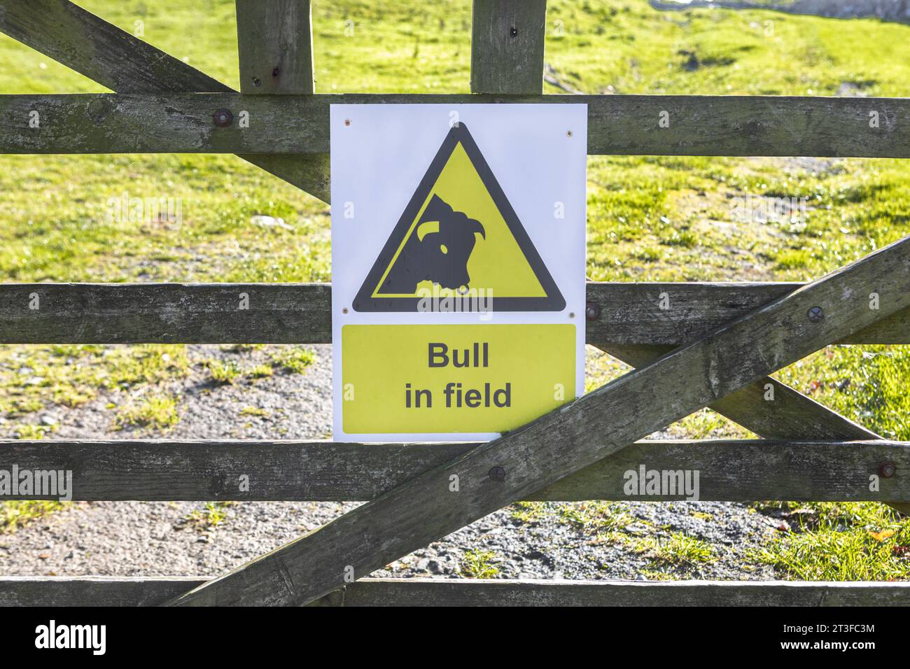 A sign on a five bar gate warning of bull in field Stock Photo - Alamy