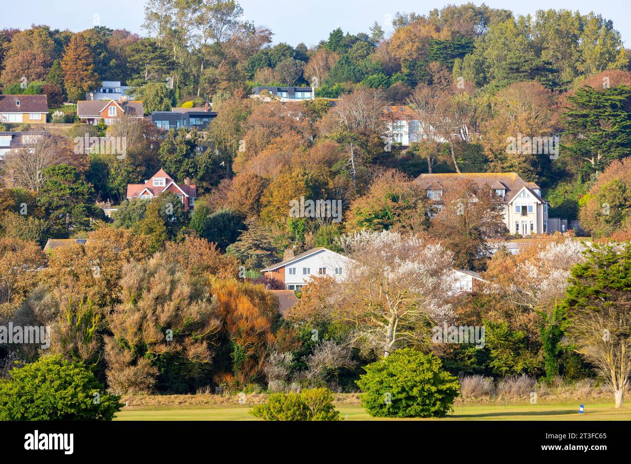 Wooded hillside england hi-res stock photography and images - Alamy