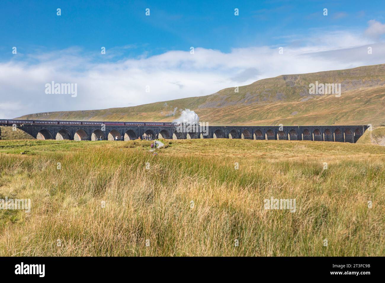 A steam train crossint the Ribblehead Viaduct watched by walkers and ...