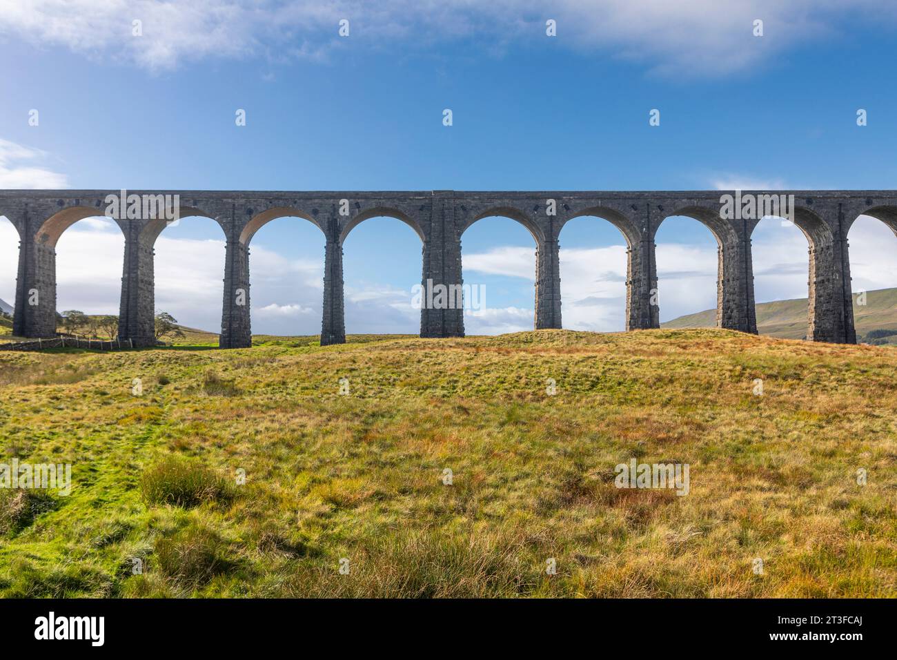 The Ribblehead viaduct in Yorkshire Stock Photo - Alamy