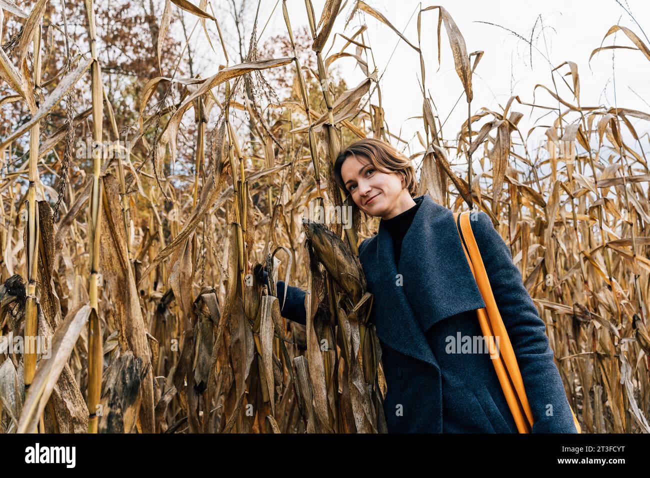 Short stalks hi-res stock photography and images - Alamy