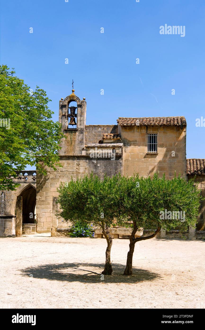 France, Bouches du Rhone, Regional Natural Park of the Alpilles, Saint ...