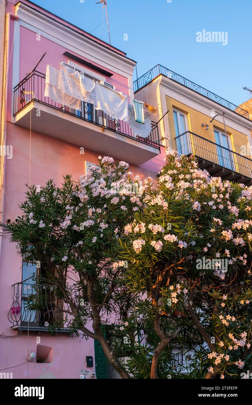 Italy, Campania, Bay of Naples, Procida Island, facade of the old port ...